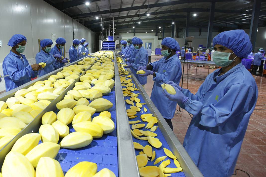 Home - profarma.co.in